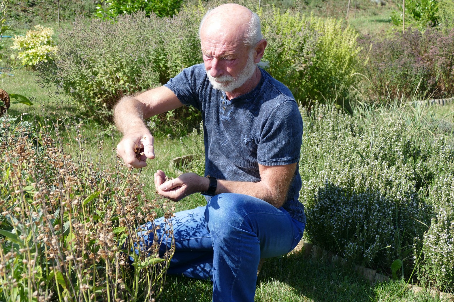 Karel Hadek - legenda aromaterapie bude prednášať v Bratislave - Váš článek
